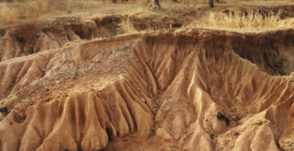 New Atlas Traces the Scar Humans Have Inflicted on Earth - Truthdig